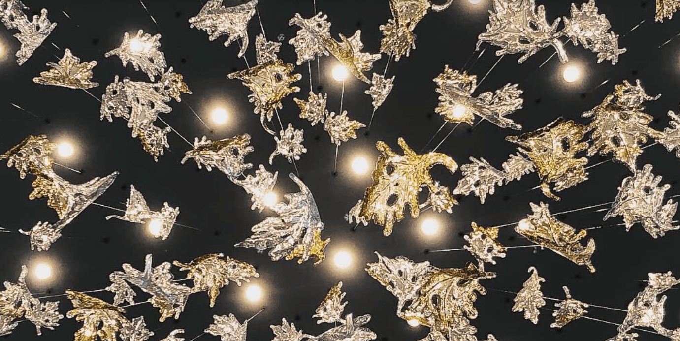 Stephanie Ng Design: Awards